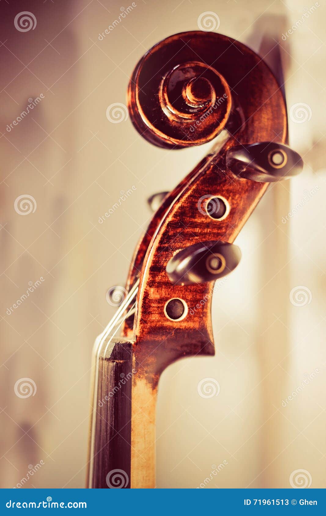 Violin neck close-up stock image. Image of background - 71961513