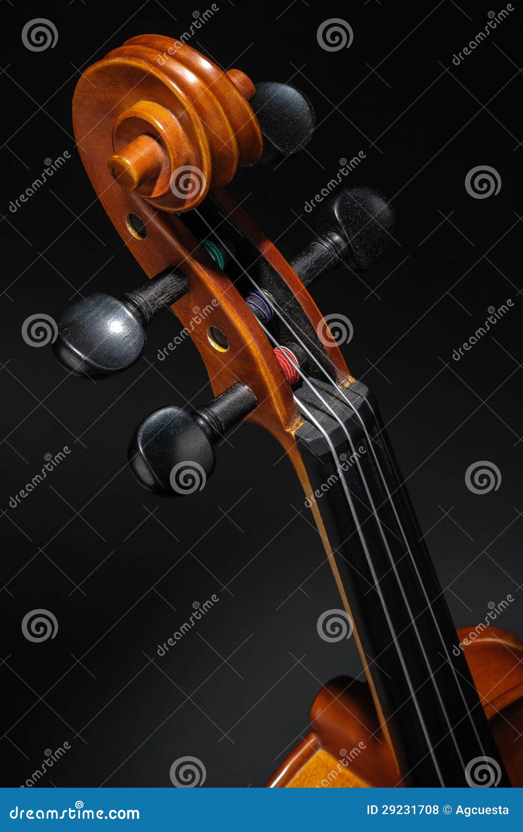 Violin Neck, Pegbox and Scroll Detail Stock Photo - Image of color ...