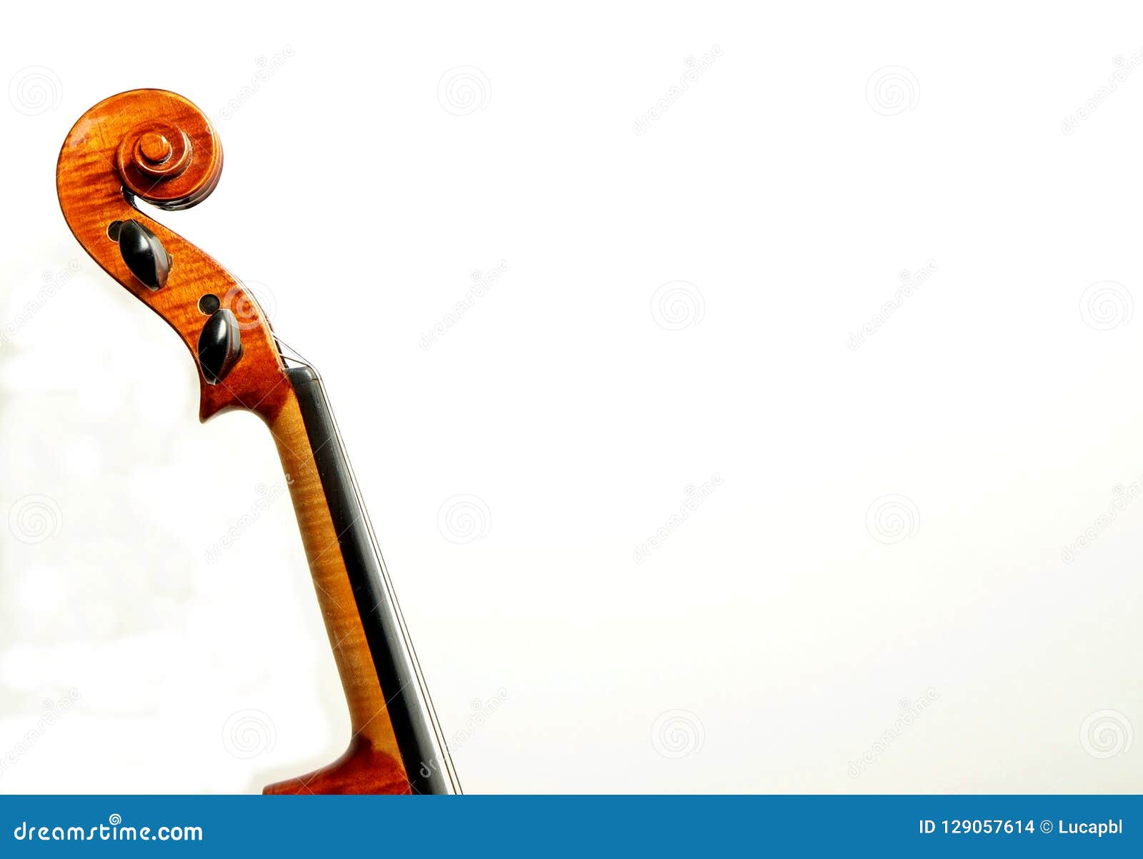 Violin Neck, Side and Vertical, for Copy Space Stock Photo - Image of ...