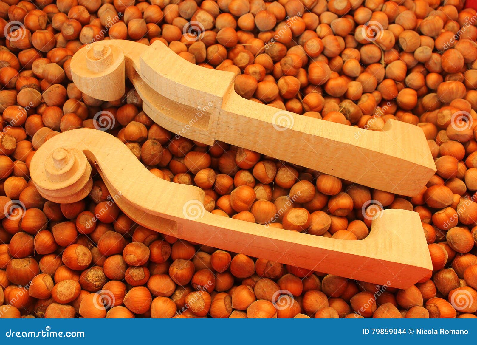 Old Sea Shell And Violin Music Instrument Stock Photography ...