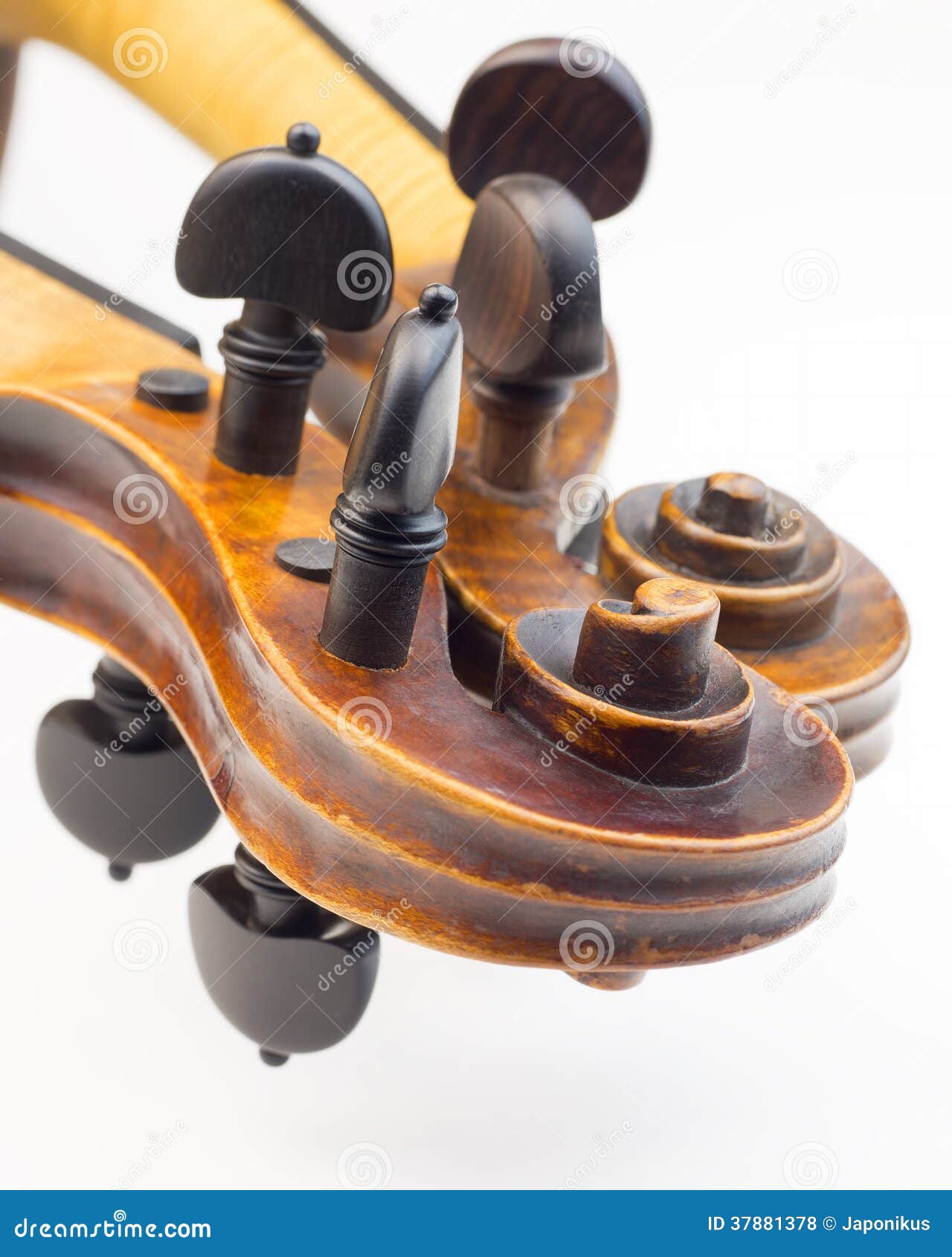 Violin peg boxes stock photo. Image of fiddle, beautiful - 37881378
