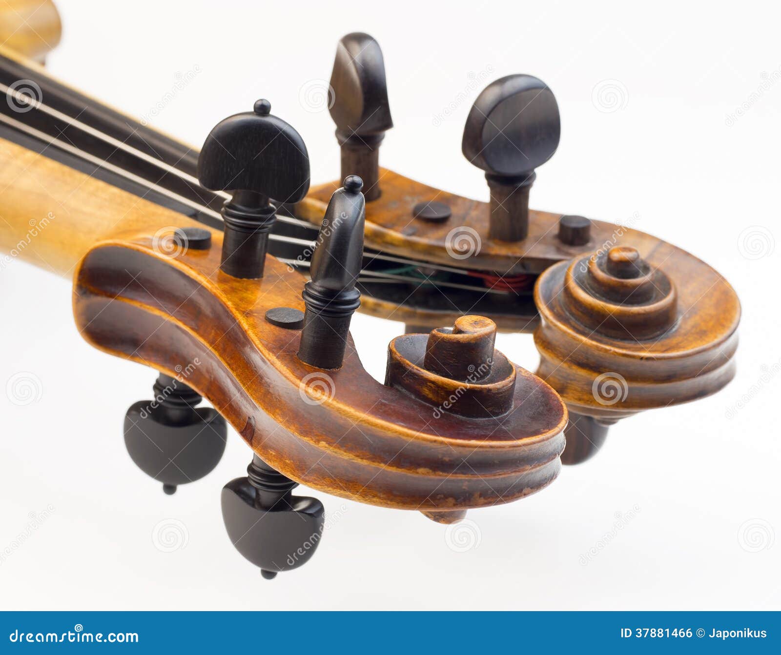 Violin peg boxes stock photo. Image of professional, musician - 37881466