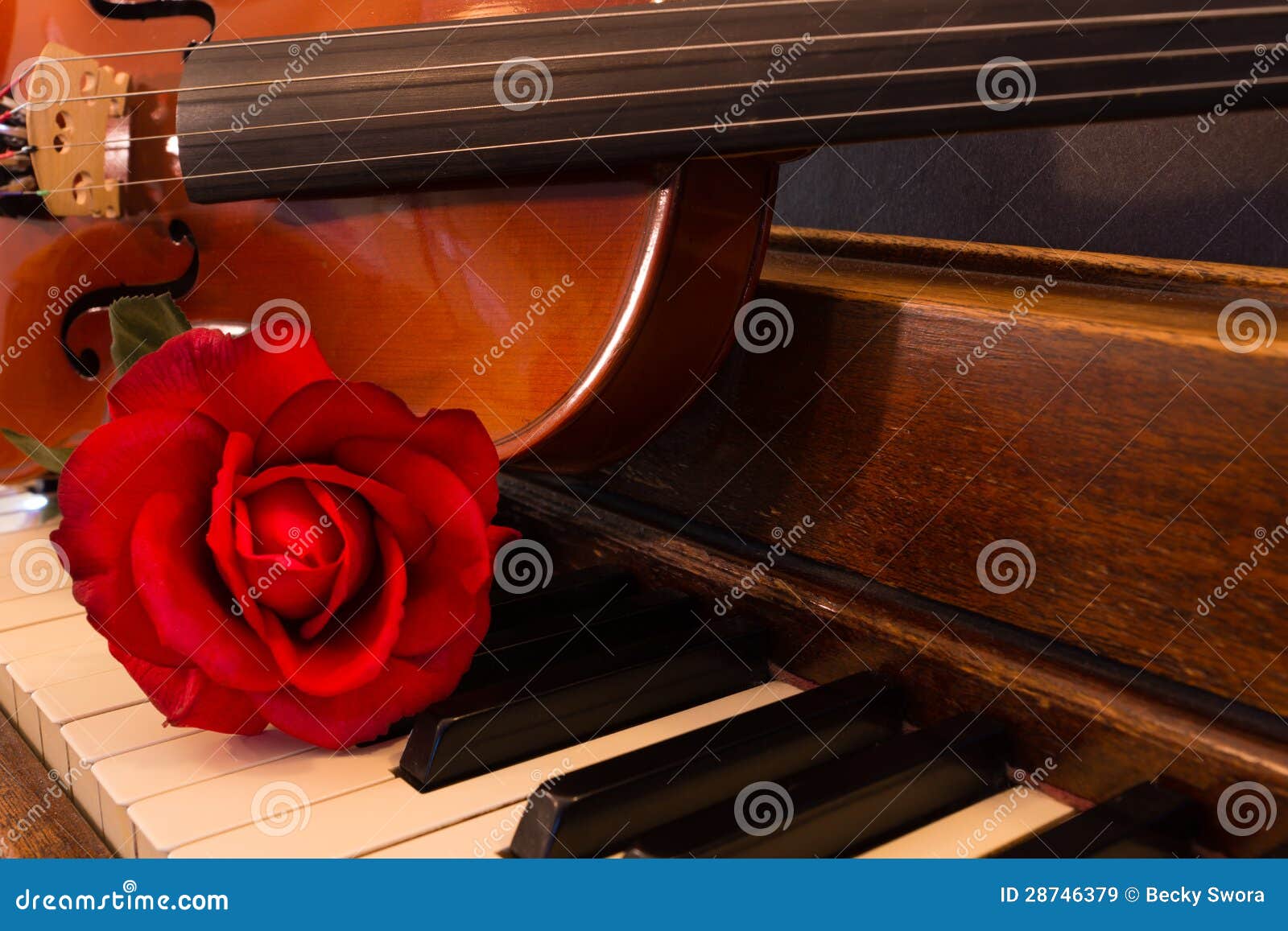 Violin, Piano, and Rose stock image. Image of creative - 28746379