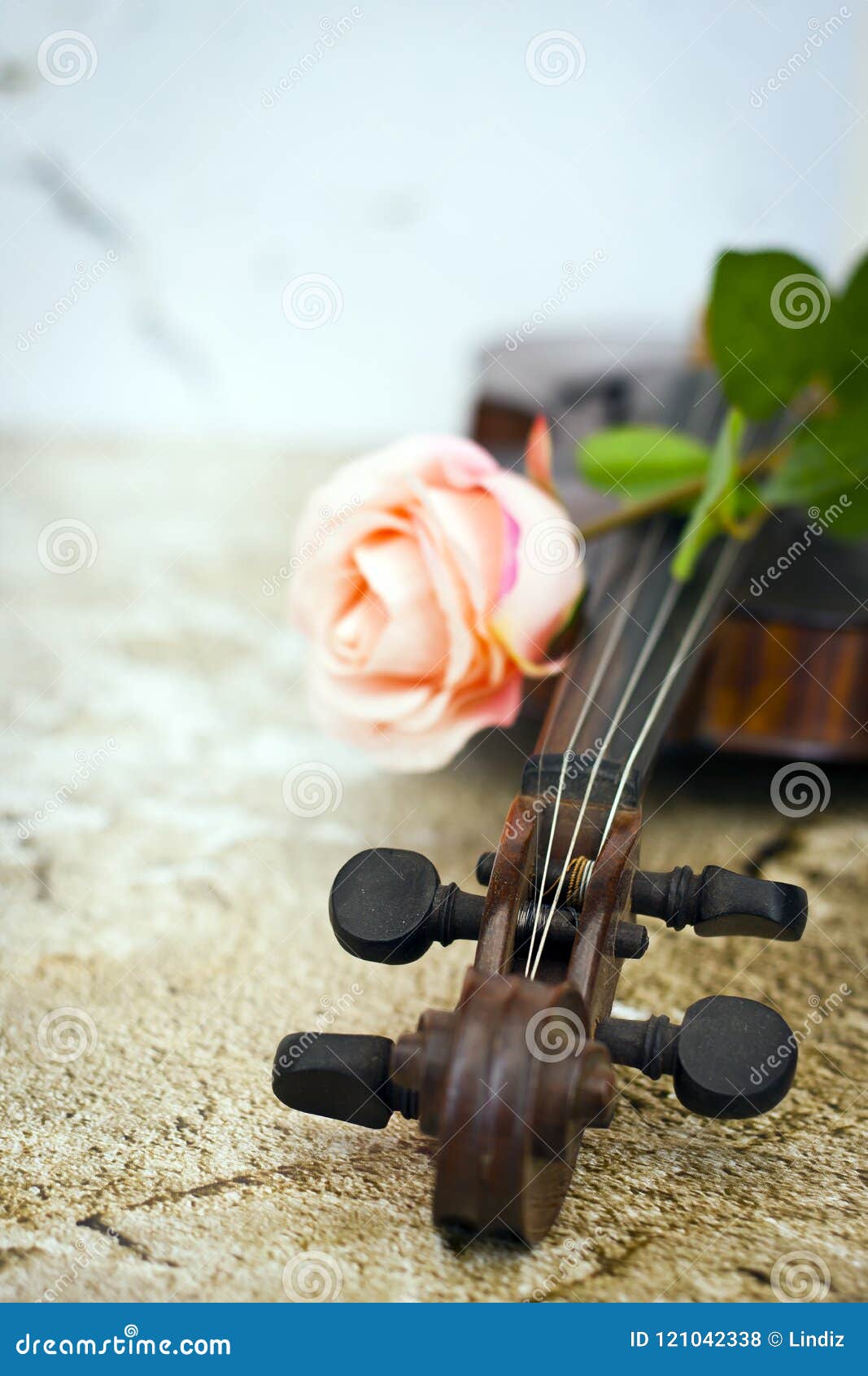 Violin and pink rose stock photo. Image of classic, paper - 121042338