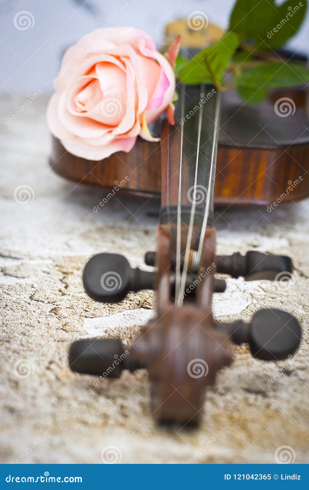 Violin and pink rose stock image. Image of music, paper - 121042365