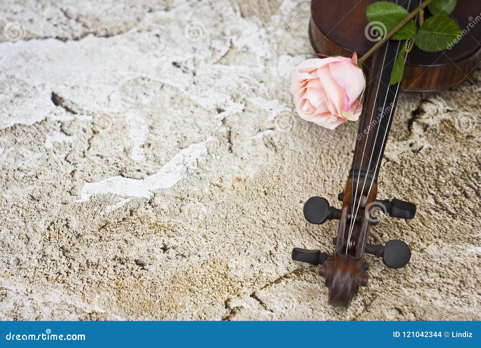 Violin and pink rose stock photo. Image of antique, gift - 121042344