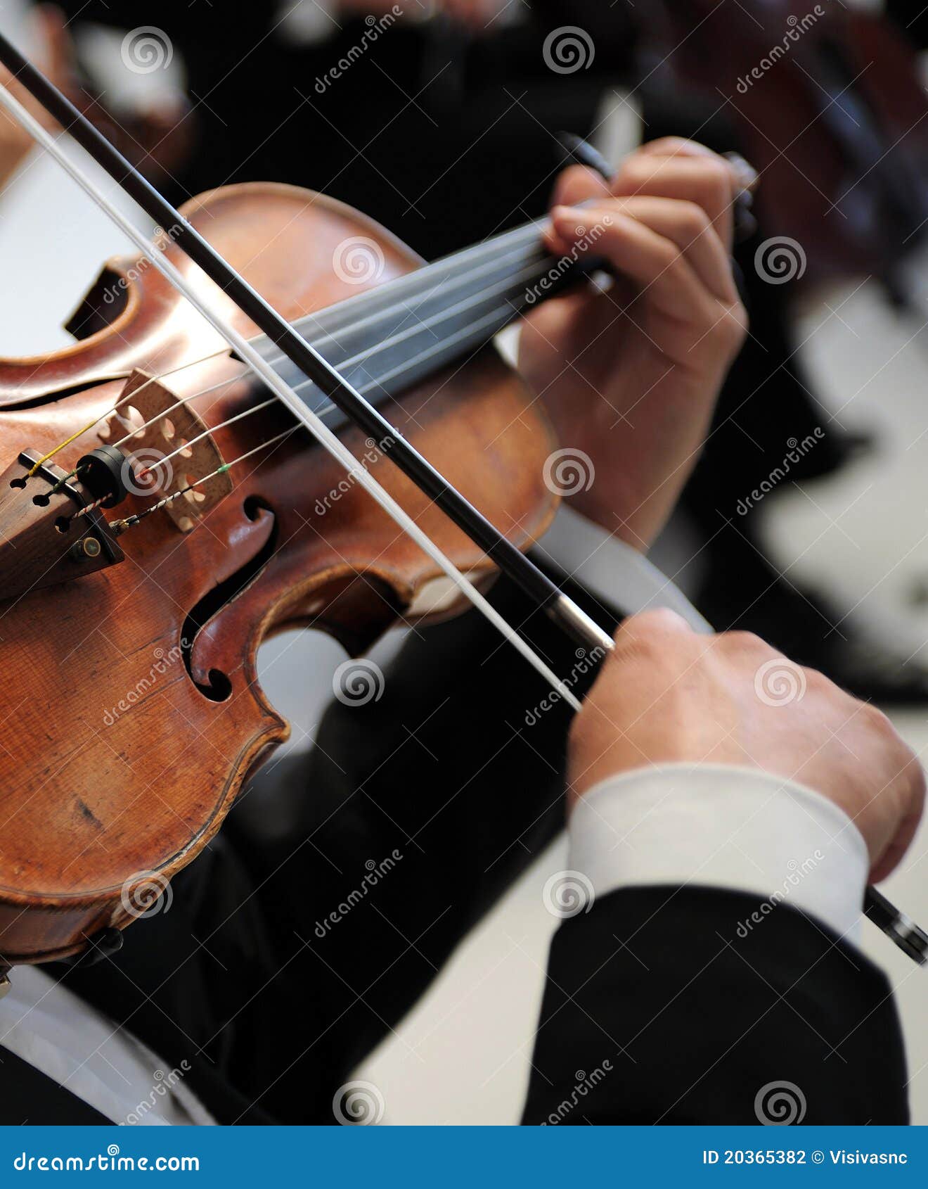 Violin player stock photo. Image of sonata, concert, study - 20365382