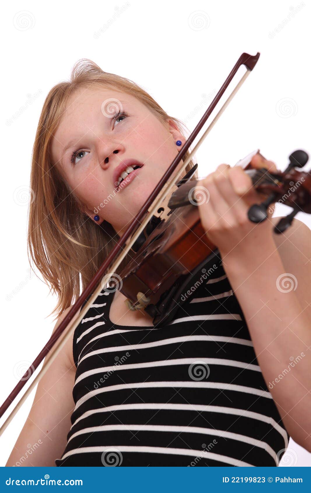 Violin player stock image. Image of concert, isolated - 22199823