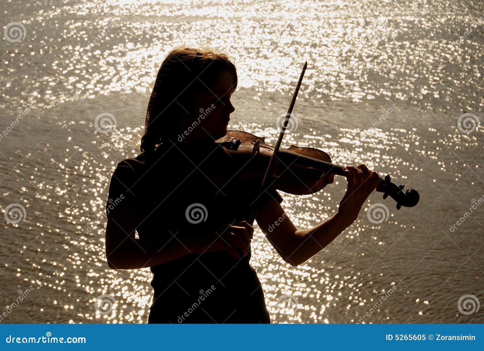 Violin player stock image. Image of reflex, shadow, model - 5265605