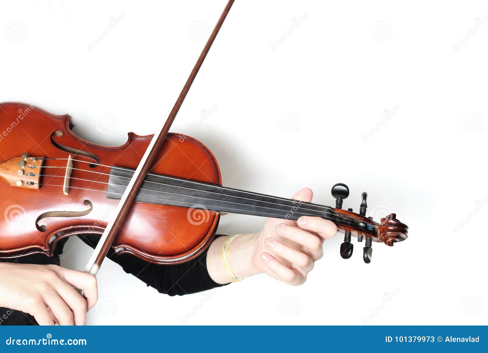 Violin Player Violinist Hands Isolated on White Stock Image - Image of ...