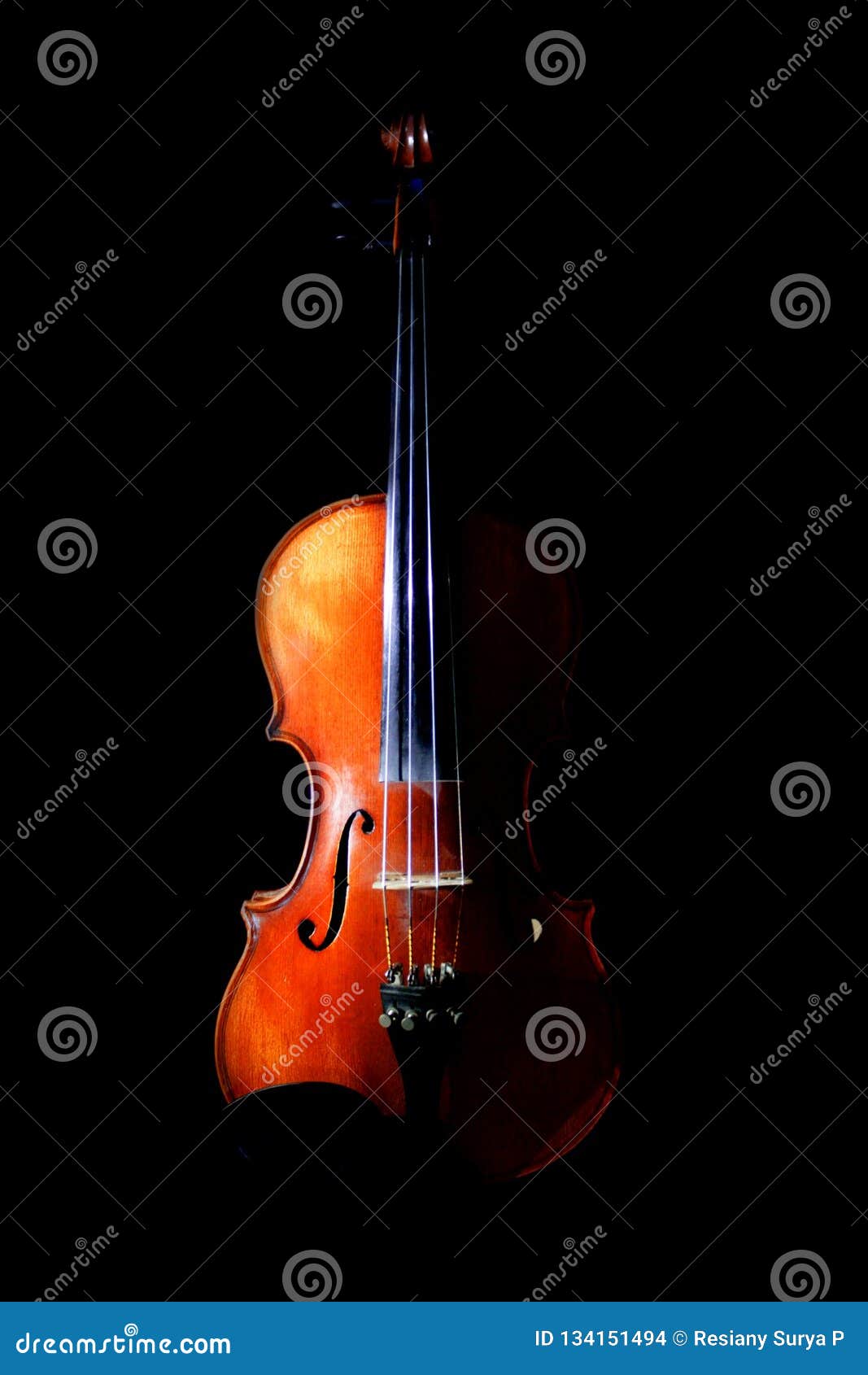 The Violin is the Queen of Musical Instruments Stock Photo - Image of ...