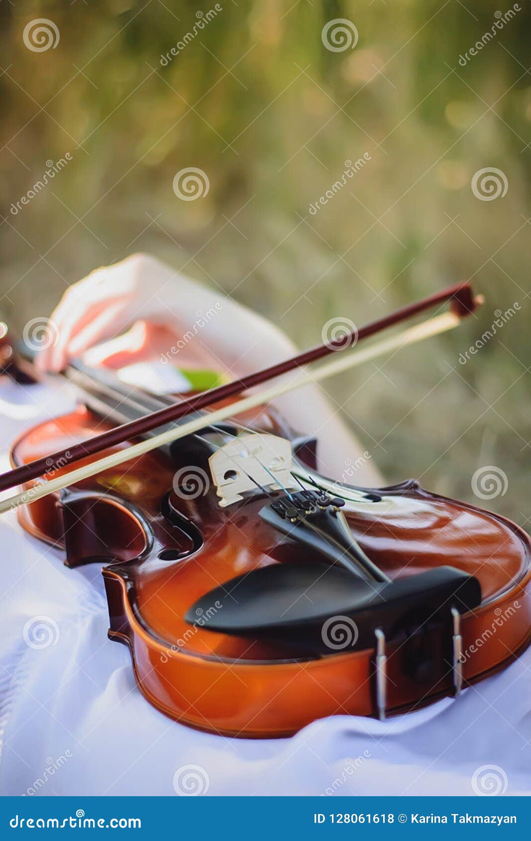 The magical violin stock photo. Image of beautiful, wood - 128061618