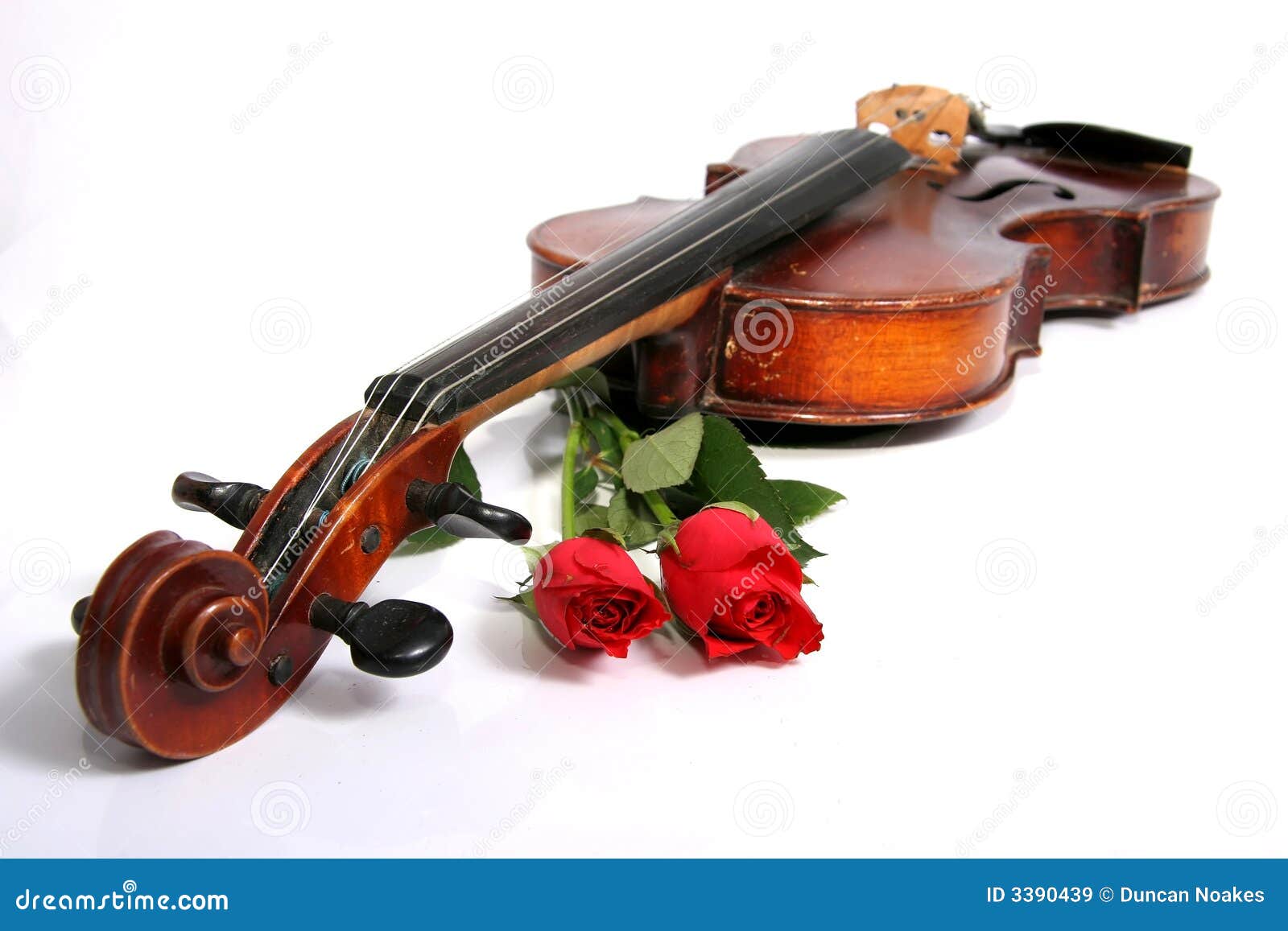 Violin and red roses stock image. Image of idea, folk - 3390439