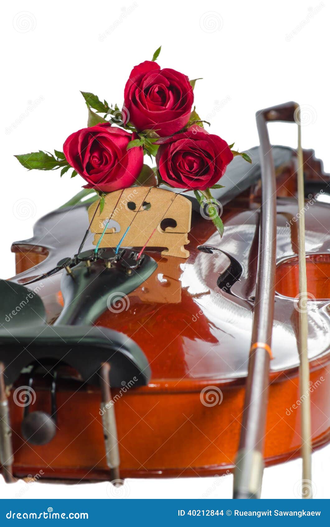 Violin and red roses stock photo. Image of floral, classic - 40212844