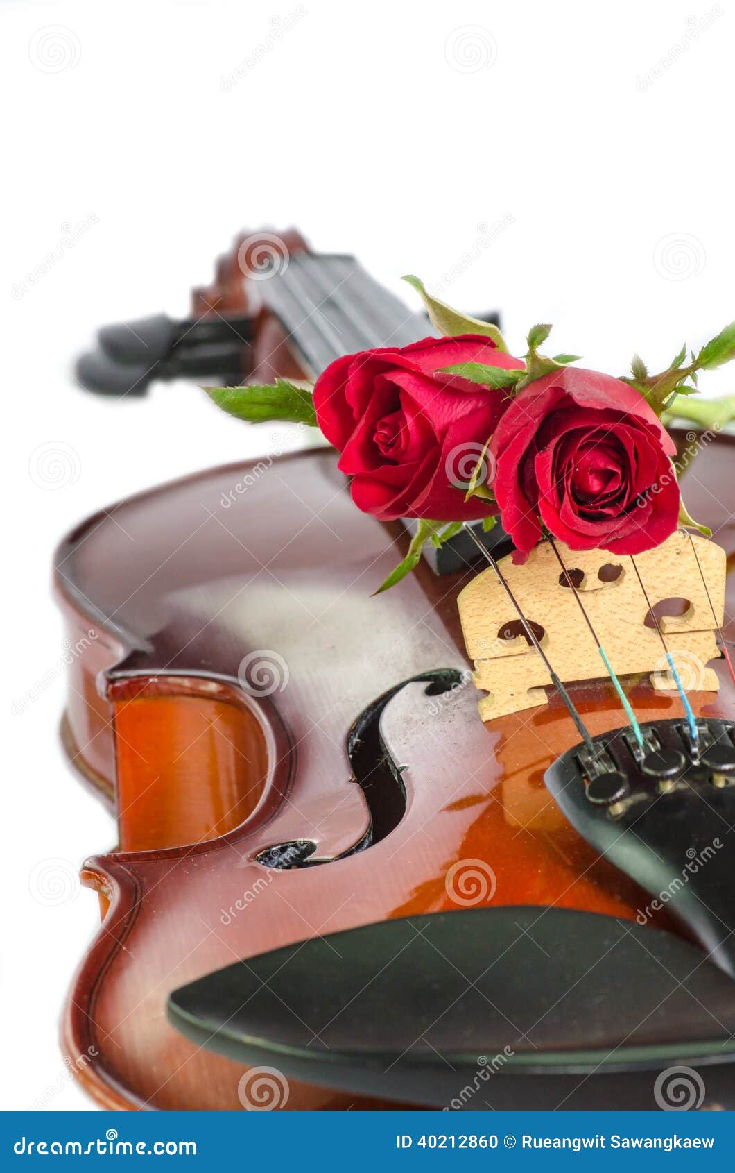 Violin and red roses stock photo. Image of composition - 40212860
