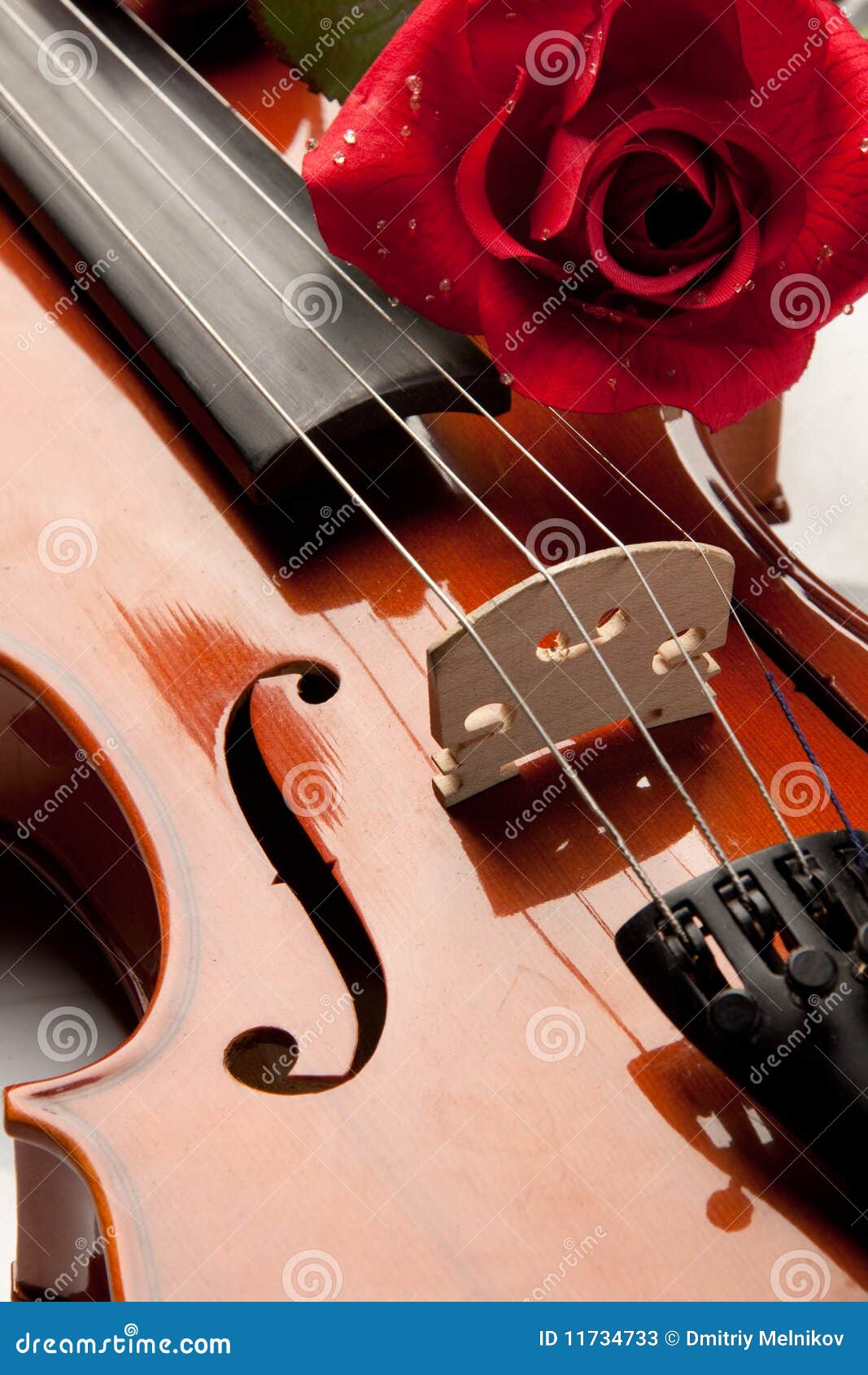 Violin and rose stock image. Image of idea, rose, flower - 11734733