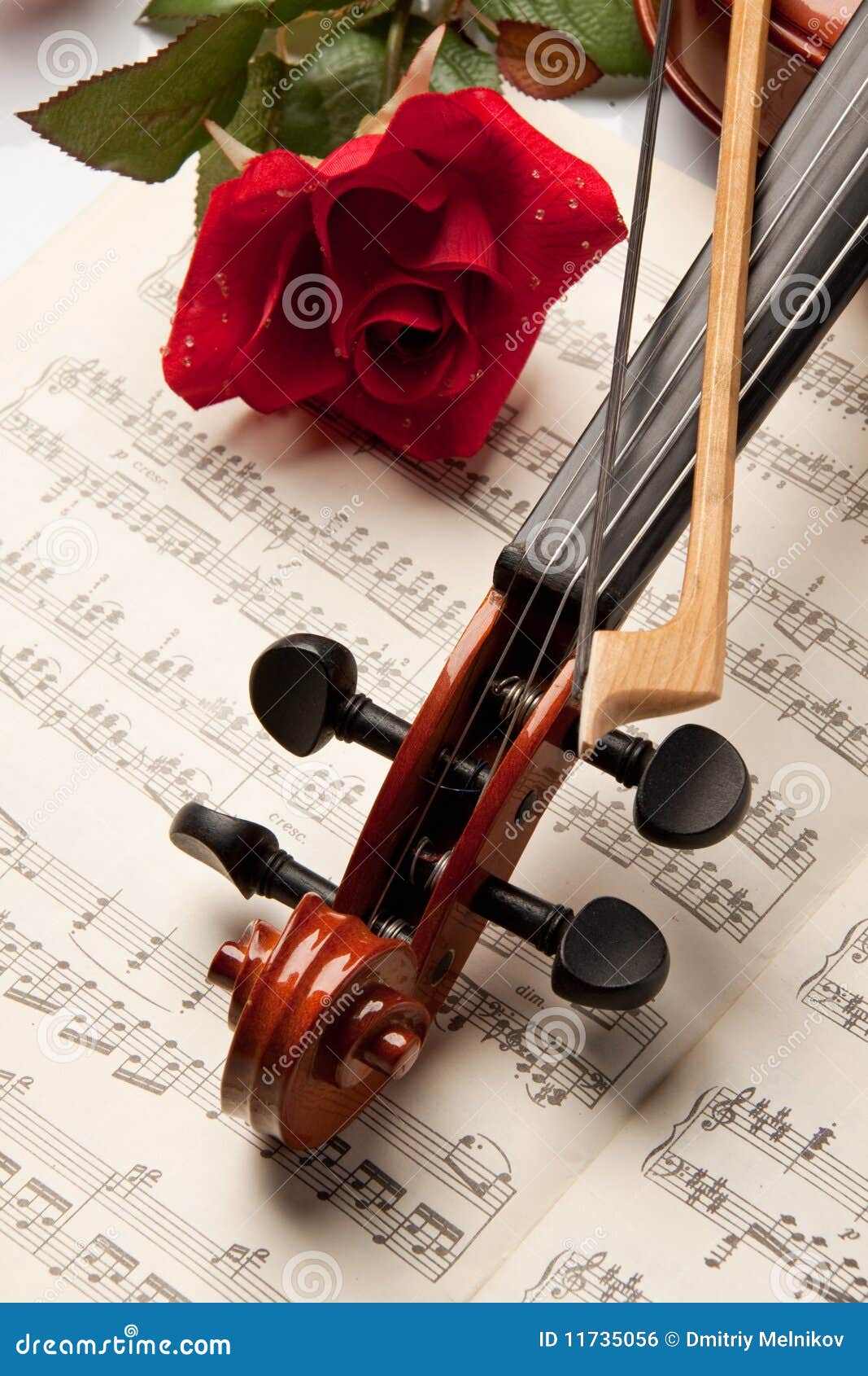 Violin and rose stock photo. Image of culture, harmony - 11735056