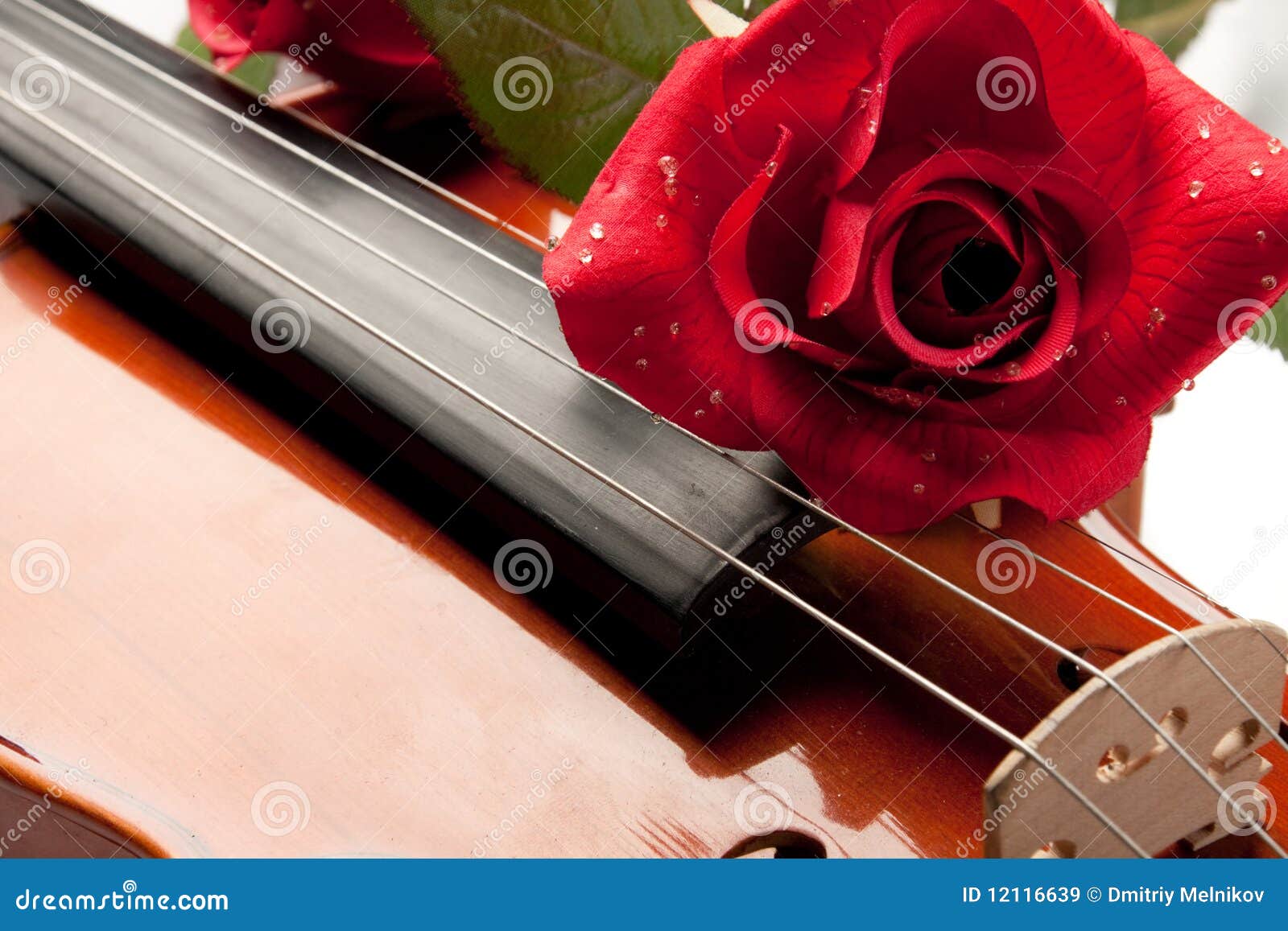 Roses And Violin Wallpaper