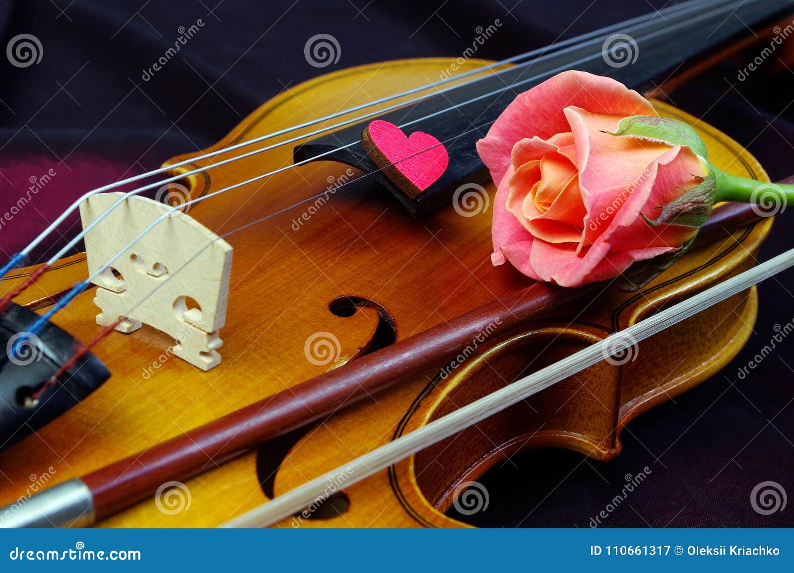 Violin and rose. stock image. Image of brown, flower - 110661317