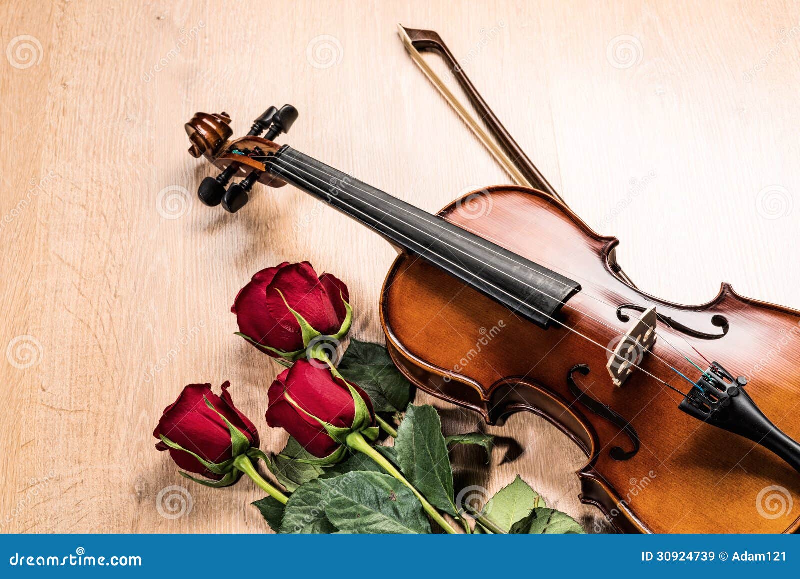 Violin, Rose and Music Books Stock Image - Image of flowers, instrument ...