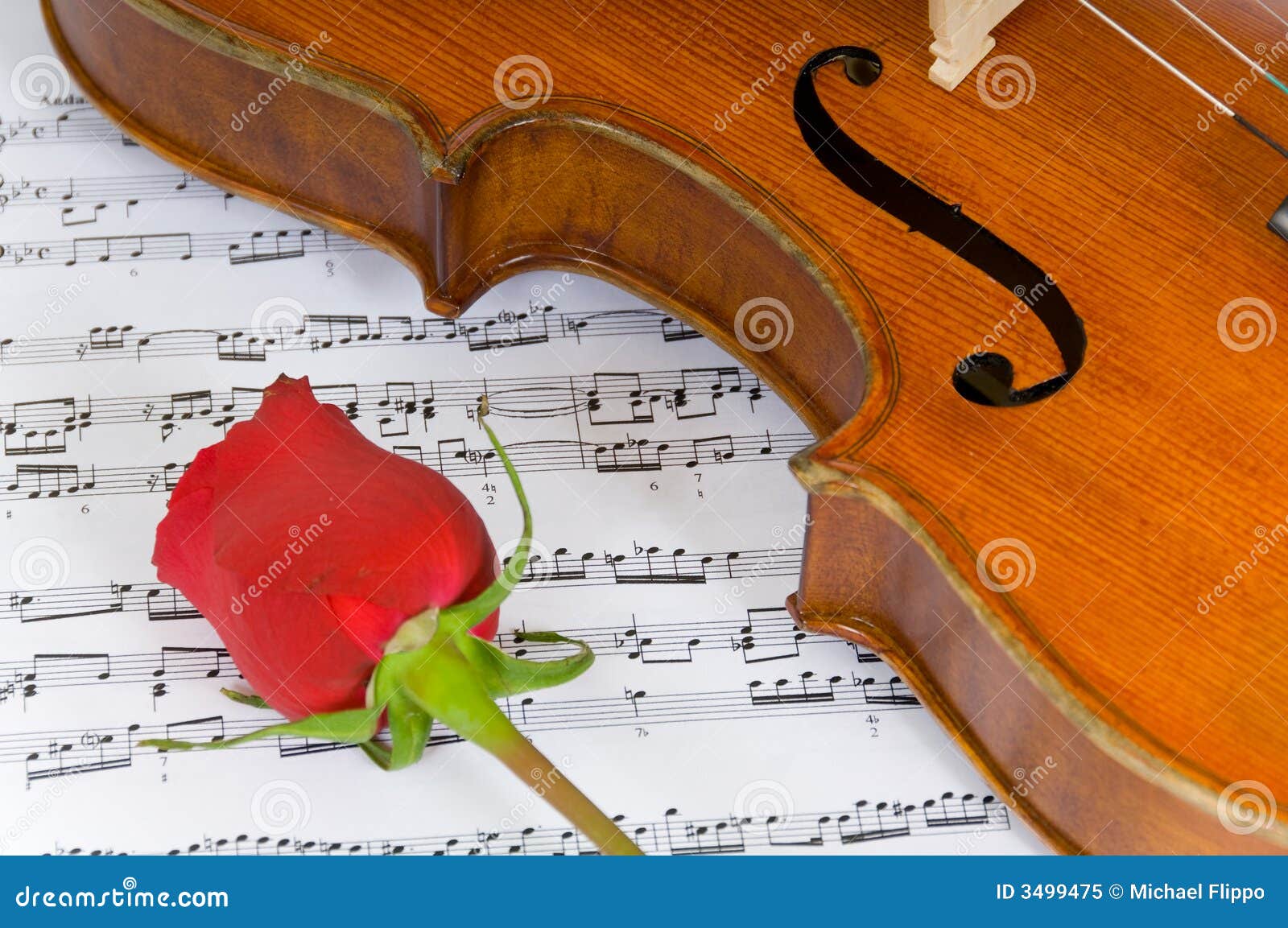 Violin, Rose and Sheet Music Stock Image - Image of paper, rose: 3499475