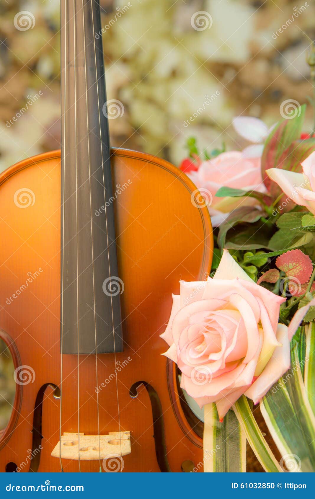 Violin and rose stock photo. Image of retro, love, violin - 61032850