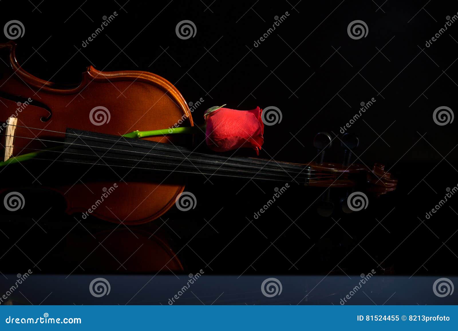 Violin Rose Violin Orchestra Musical Instruments Photos - Free ...