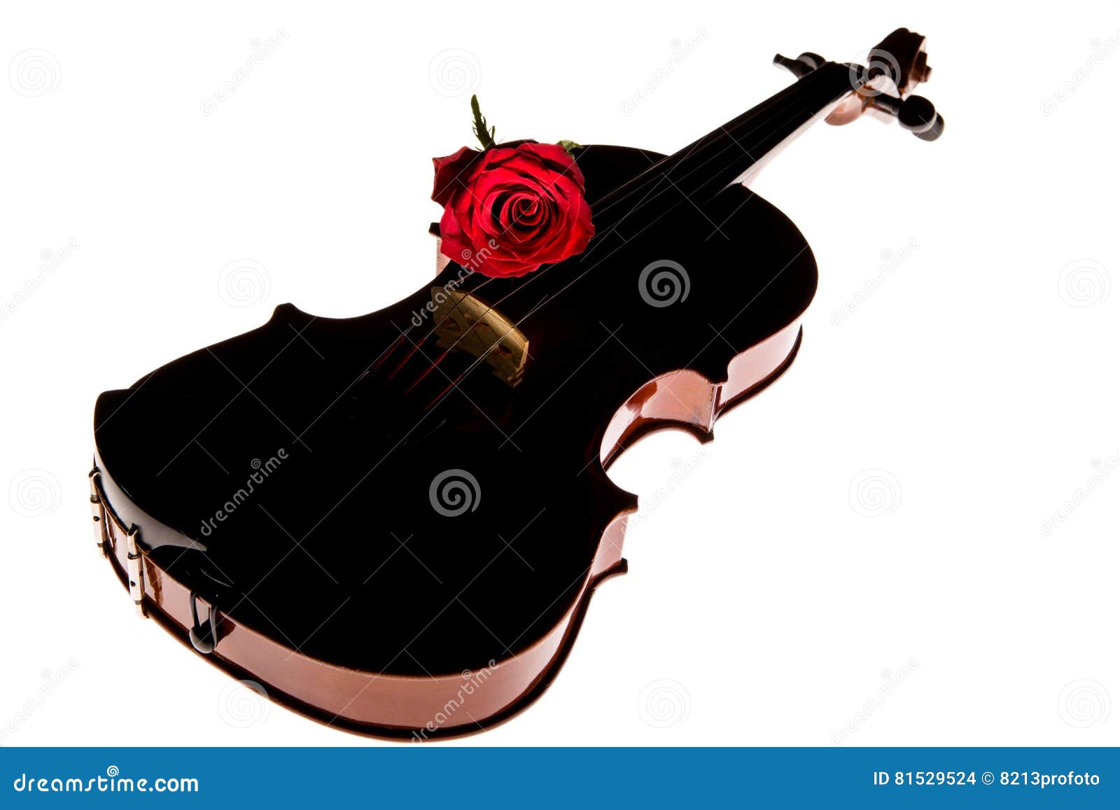 Violin and Rose, Violin Orchestra Musical Instruments Stock Photo ...