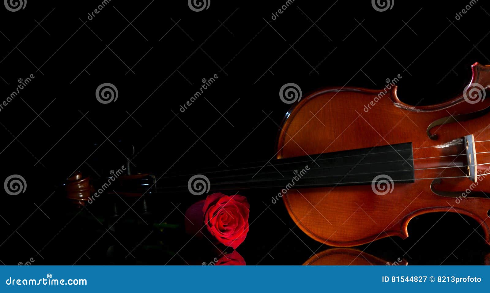 Violin and Rose, Violin Orchestra Musical Instruments Stock Image ...