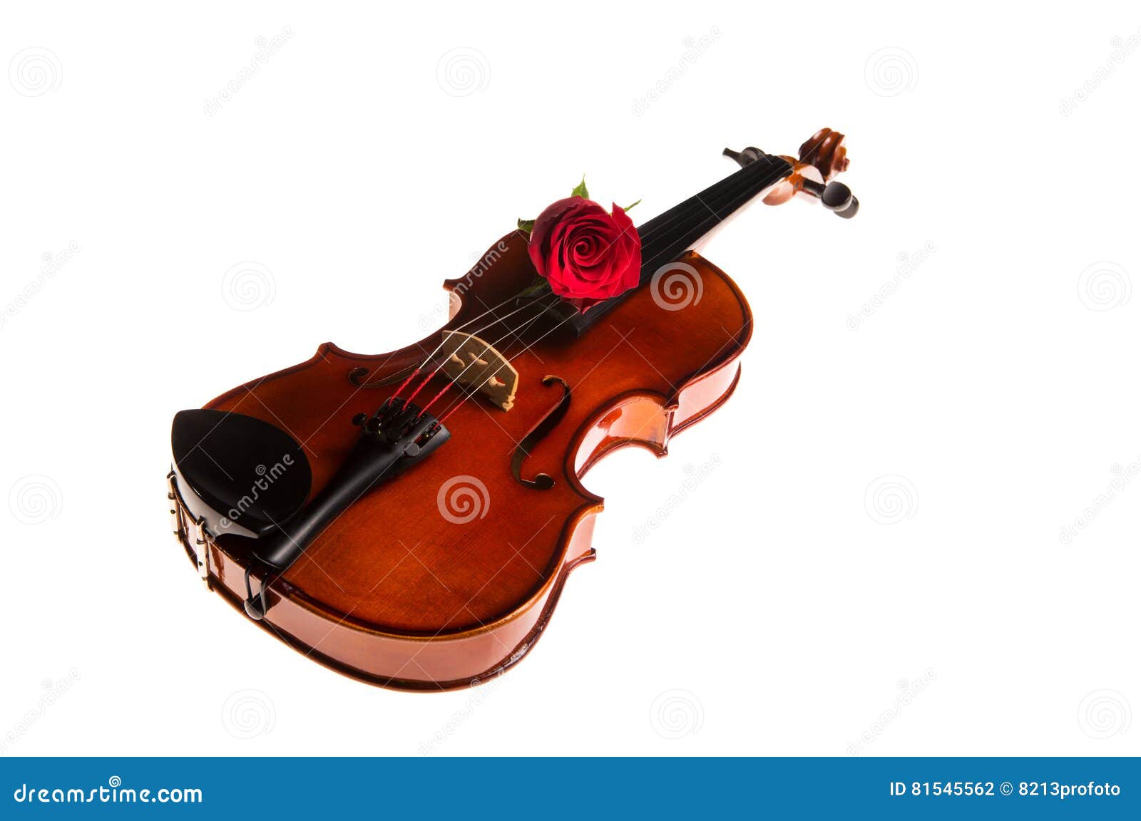 Violin and Rose, Violin Orchestra Musical Instruments Stock Photo ...