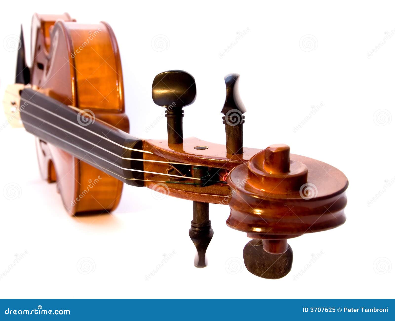 Violin Scroll Picture. Image: 3707625