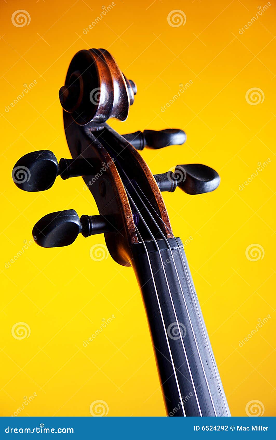 Violin Scroll Closeup Yellow Bk Stock Photo - Image of andante ...