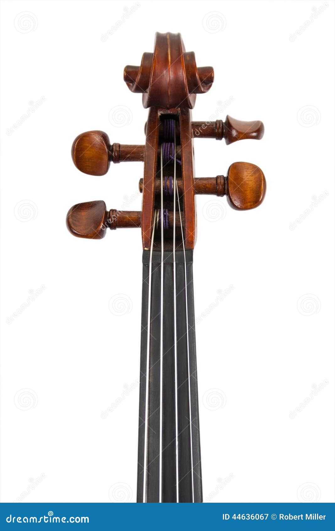 Violin Scroll Isolated on White Stock Image - Image of amati, concerto ...