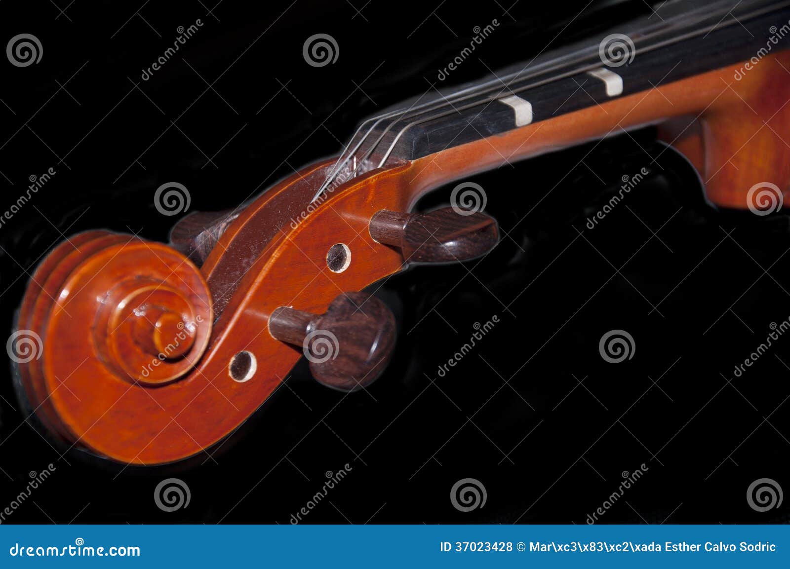 Violin Scroll and Tunning Pegs Stock Photo - Image of violin, wood ...