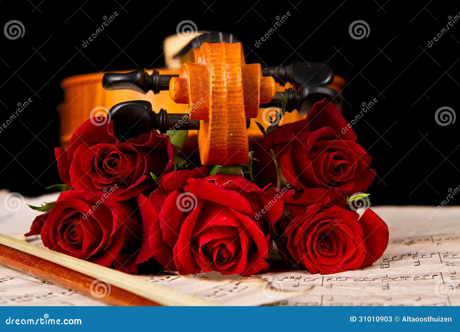 Violin Sheet Music And Rose Stock Photography | CartoonDealer.com #31473806