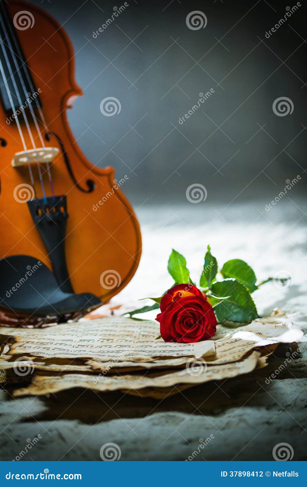 Violin Sheet Music and Rose Stock Photo - Image of nostalgic ...