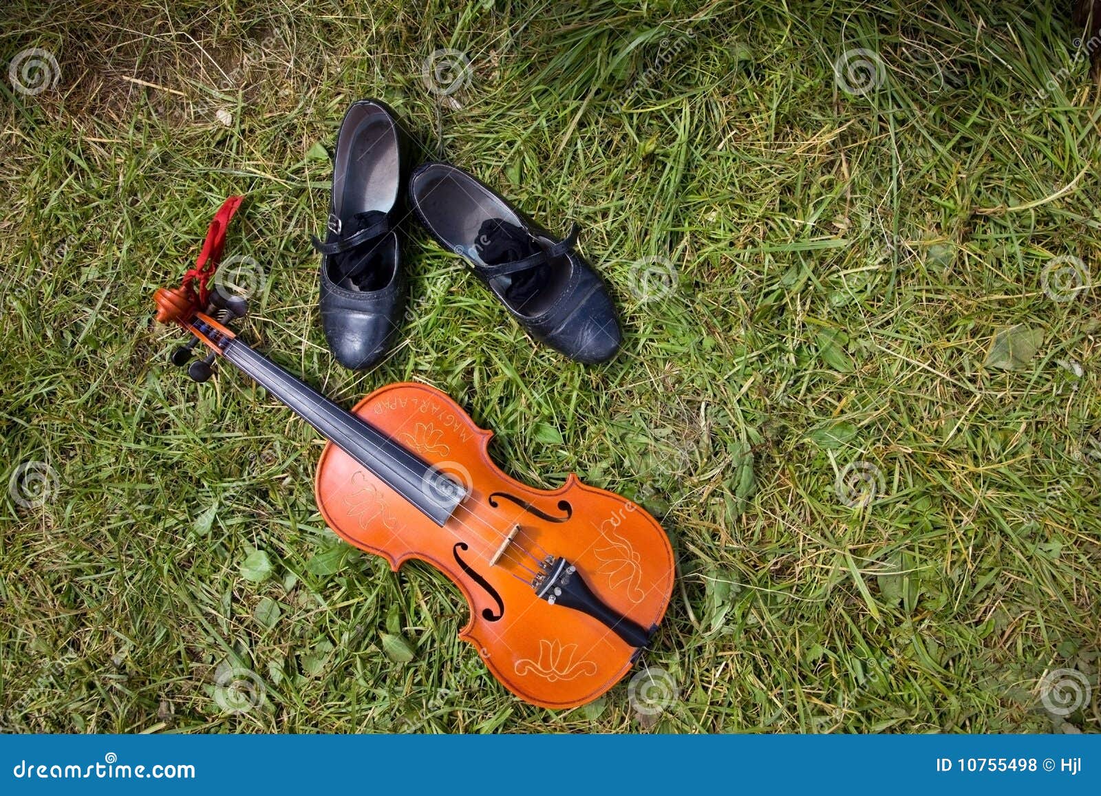 Violin and shoes stock photo. Image of fashion, violin - 10755498