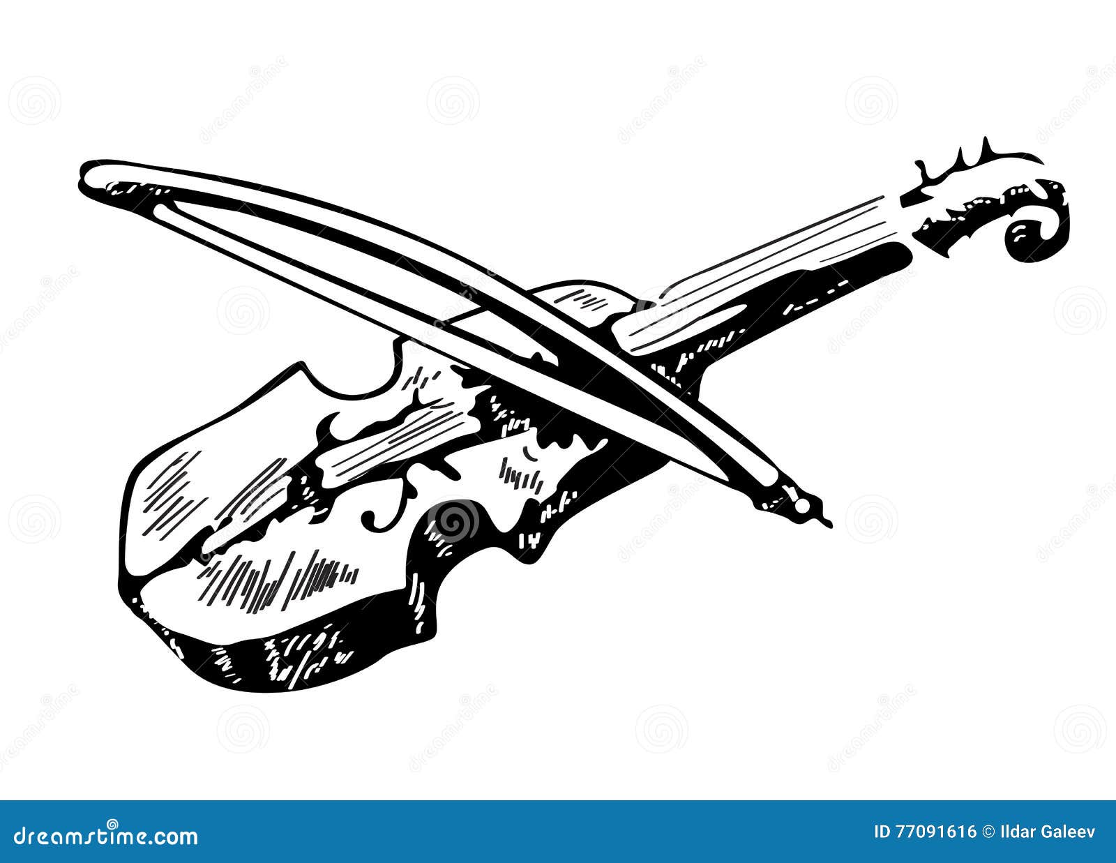 Violin Sketch. Cartoon Vector | CartoonDealer.com #92407039