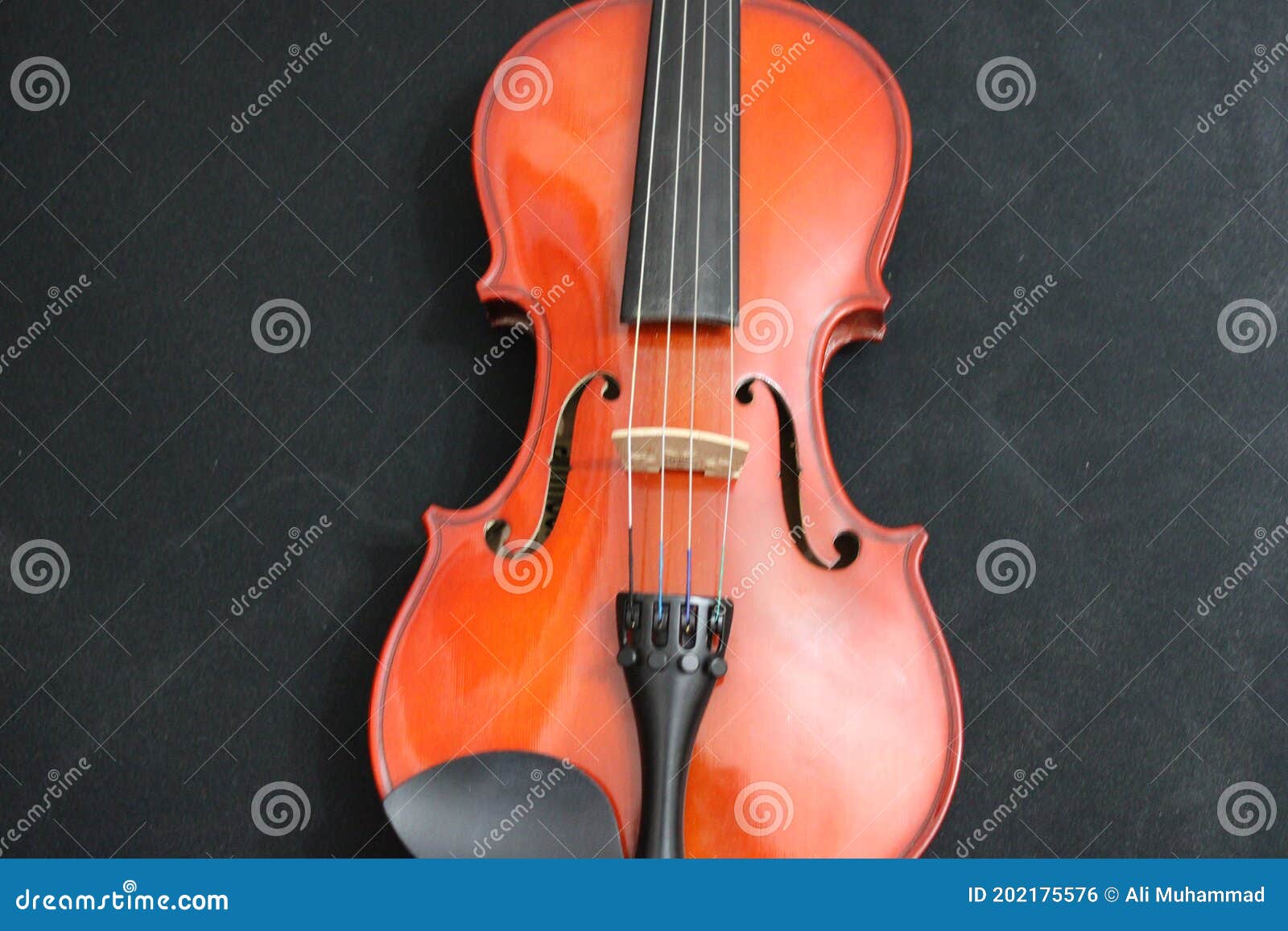 Violin Stringed Musical Instrument of Italian Origin Stock Photo ...