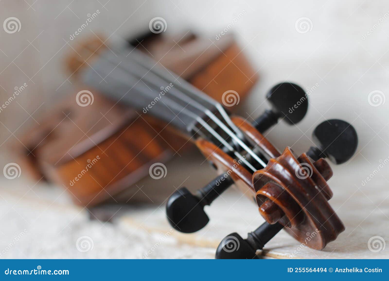 The Violin a Stringed Professional Musical Instrument Stock Photo ...