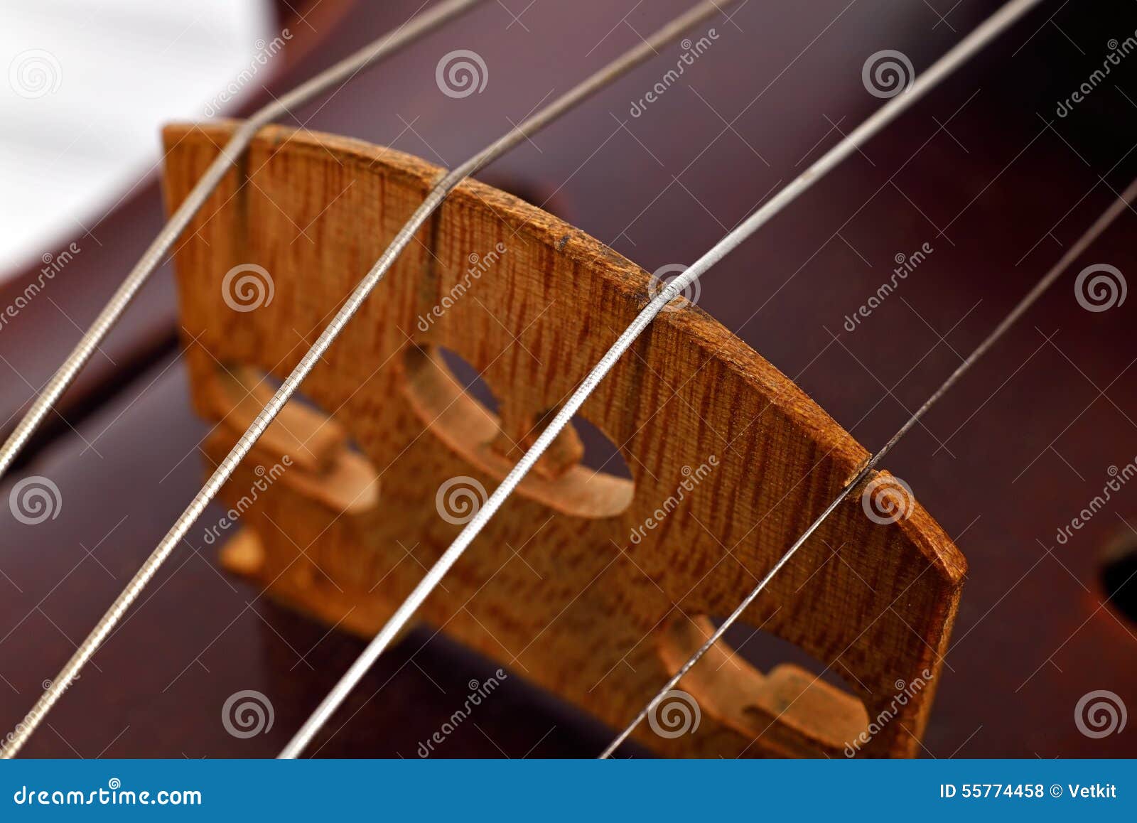 Violin Strings and Violin Body Stock Photo - Image of brown, classical ...