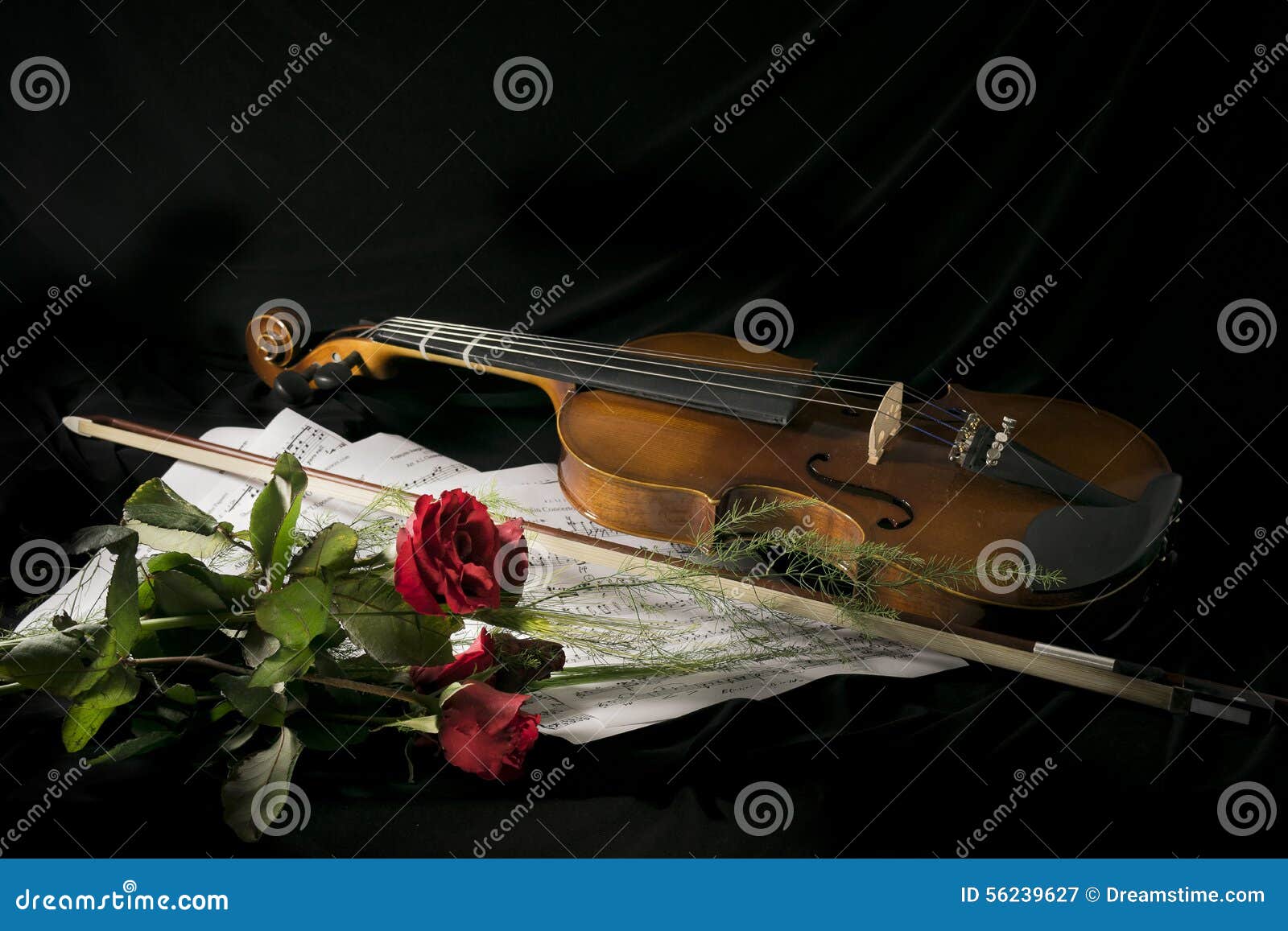 Violin study stock image. Image of affection, green, natural - 56239627 Violin study stock image. Image of affection, green, natural - 56239627