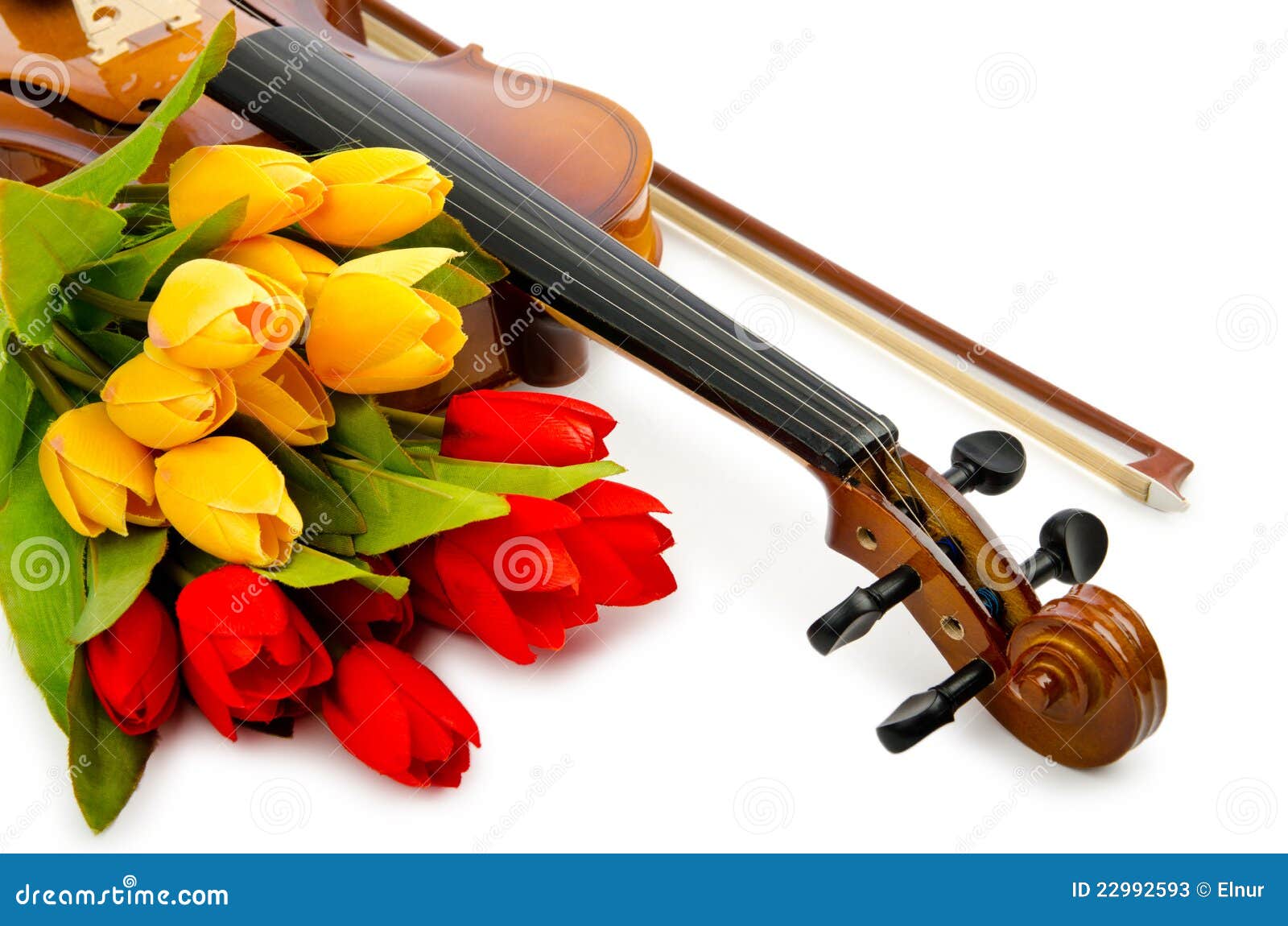 Violin and tulip flowers stock image. Image of brown - 22992593