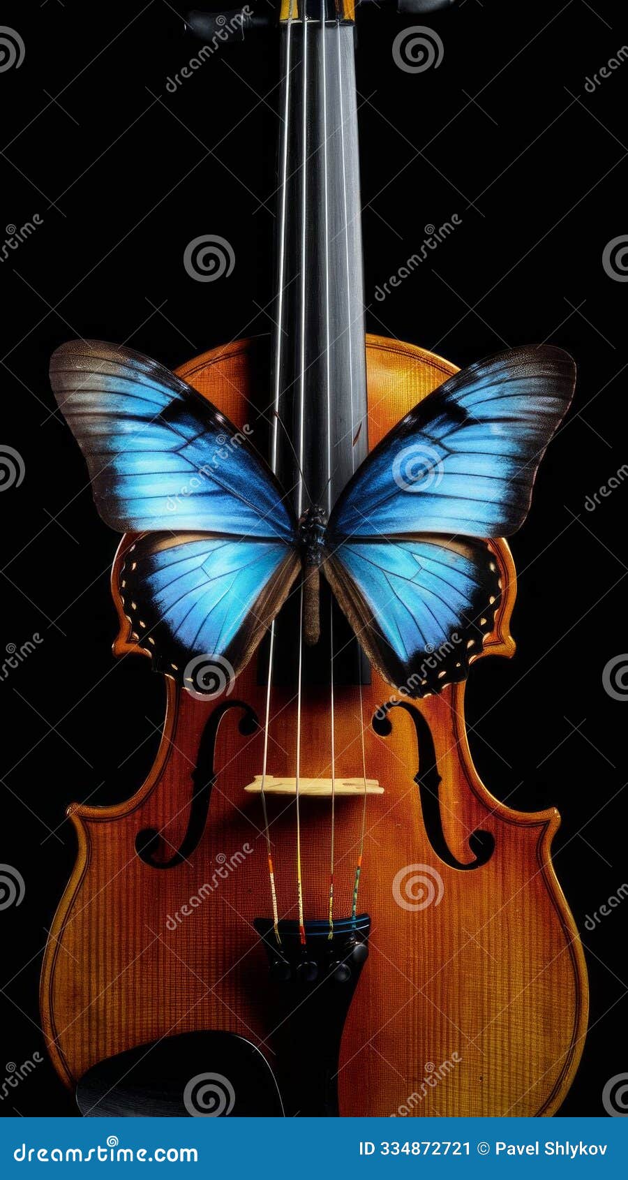 Violin with Vibrant Blue Morpho Butterfly Gracefully Perched on Its ...