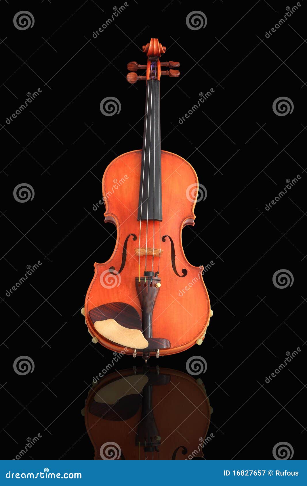 Violin Viola Isolated Against a Black Back Ground Stock Image - Image ...