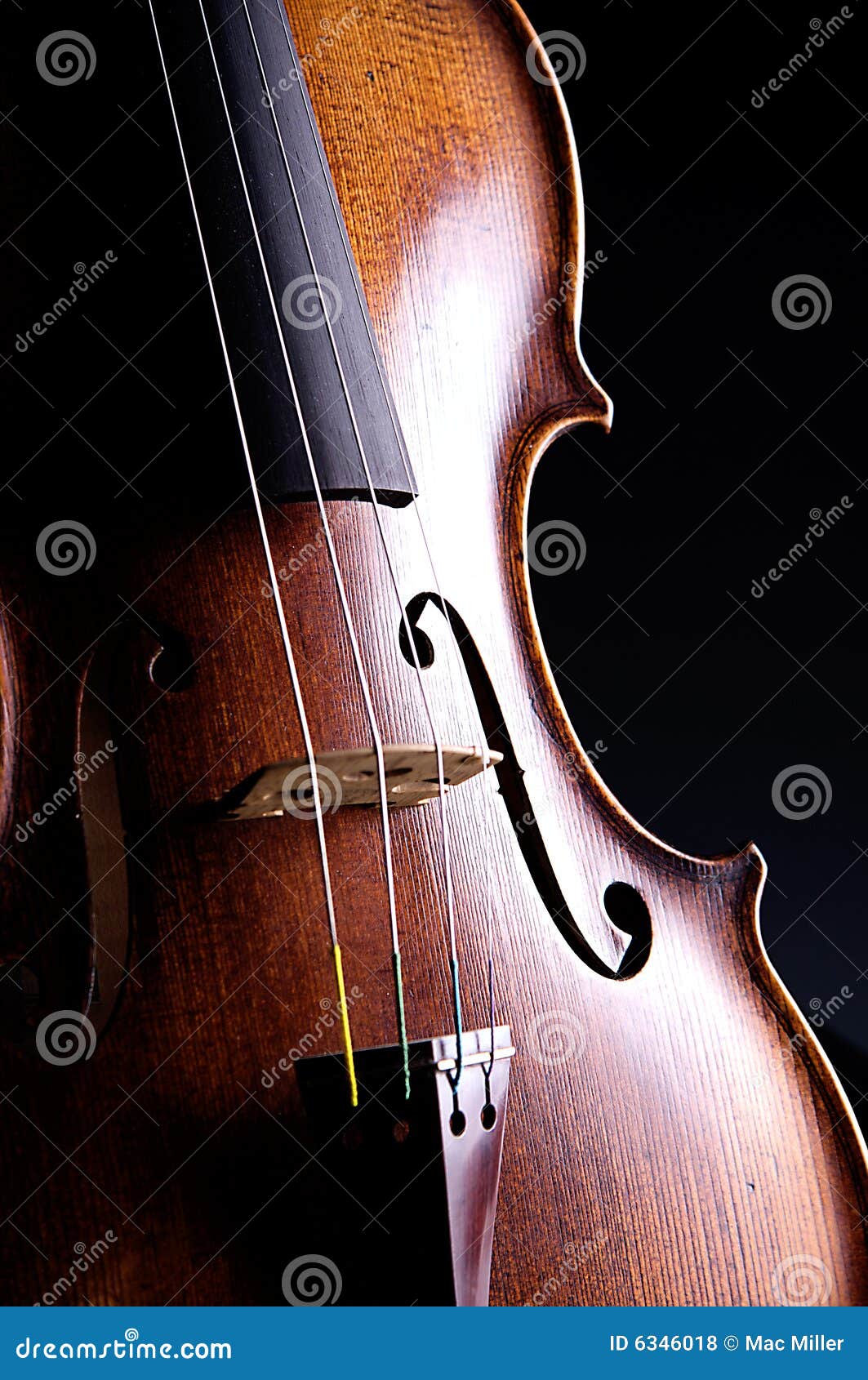 Violin Viola Isolated on Black Stock Photo - Image of vertical ...