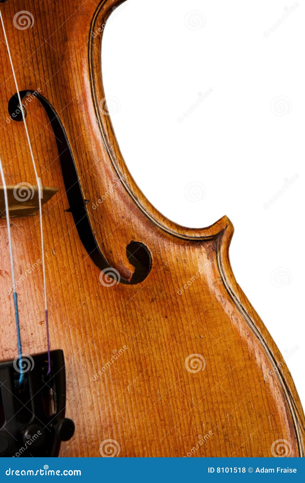Violin on white stock photo. Image of viola, wood, artistic - 8101518