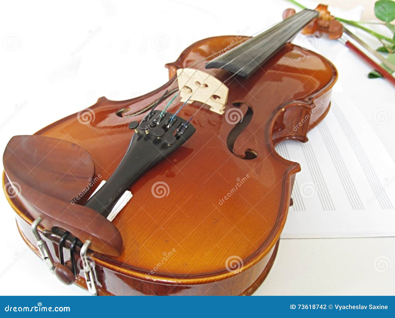 Violin stock photo. Image of violin, classic, viol, philharmonic - 73618742