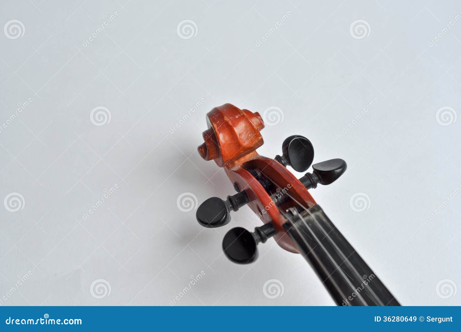 Violino de Grif. imagem de stock. Imagem de marrom, concerto - 36280649