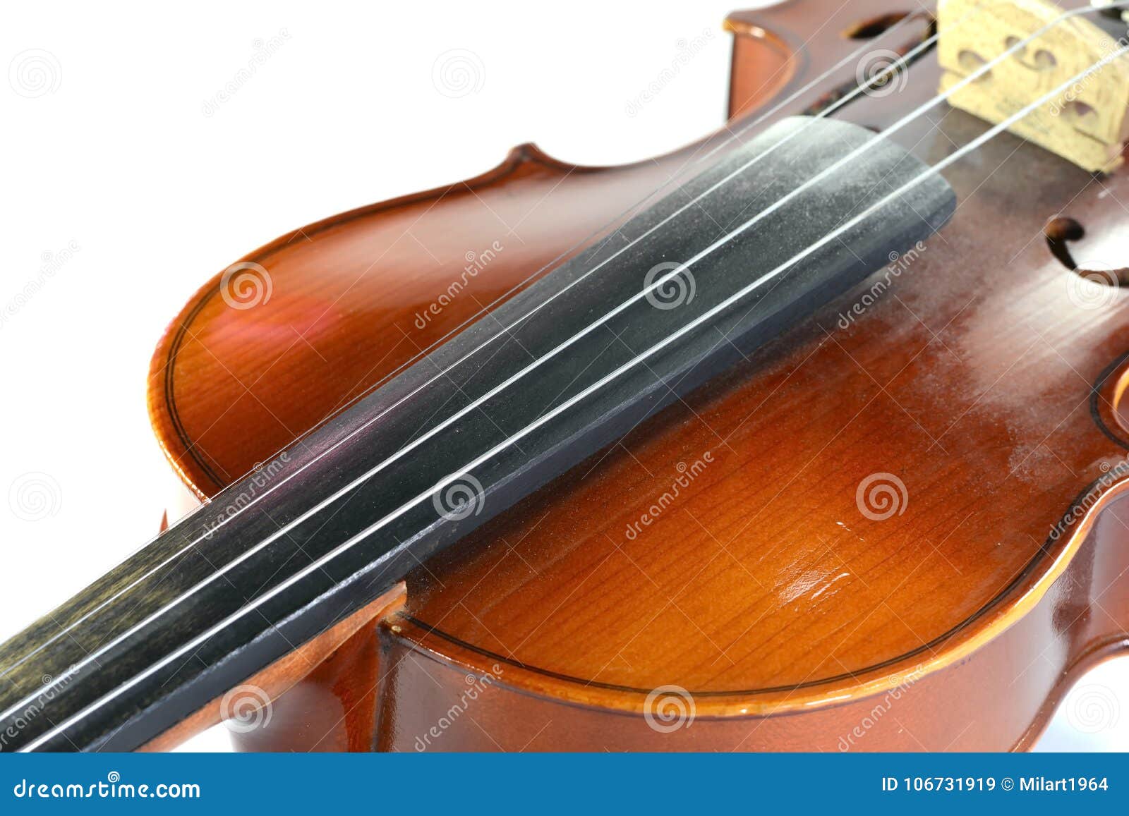 Violino isolato su bianco immagine stock. Immagine di ponticello ...